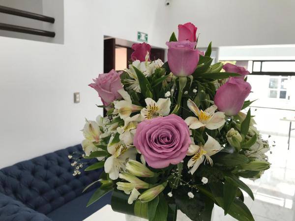 Hotel Plaza Amalia - Tuxtla Gutiérrez