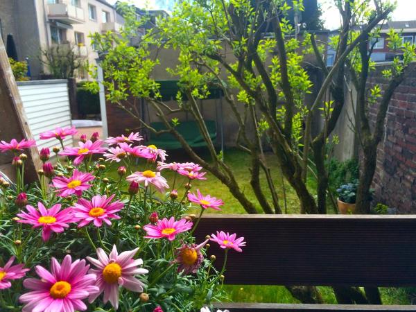 Charmant Wohnen - Duisburg