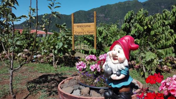 Granny's Farm - Madeira