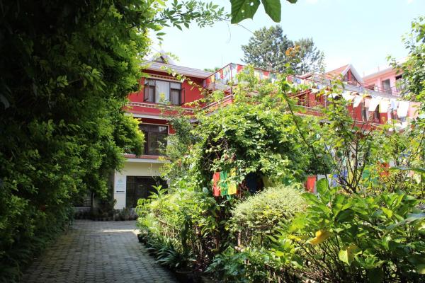 Rokpa Guest House - Kathmandu