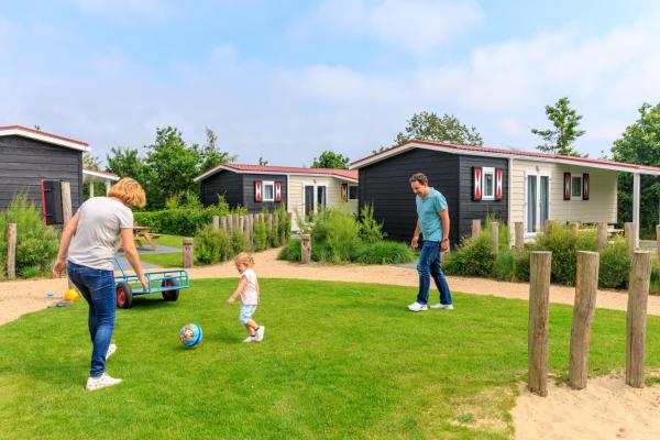 Camping Ginsterveld - Burgh-Haamstede