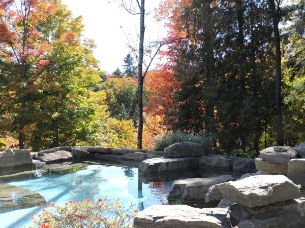 Auberge Spa & Beaux Reves - Saint-Sauveur
