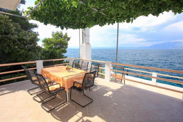 Robinson Delphinus - 赫瓦爾島