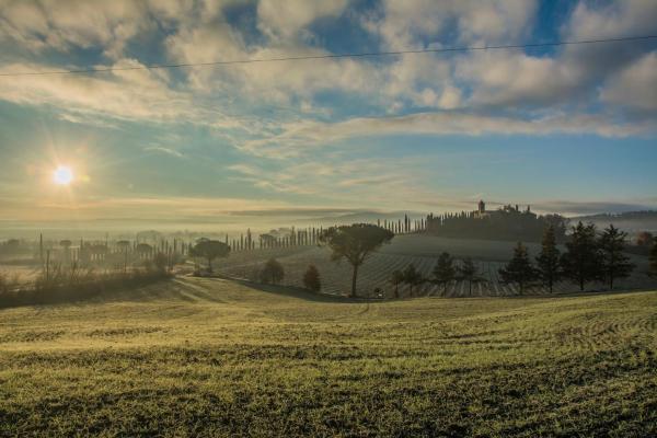 Agriturismo La Ripolina - Montalcino