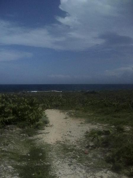 Belretiro Cottage - Jamaica