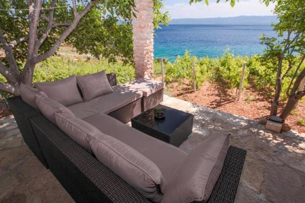 Robinson Capitano - Bol