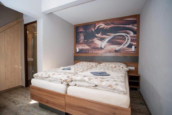 Hotel U Koně - República Checa