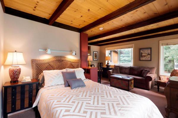 Delightful Atelier Getaway - Sun Valley, ID