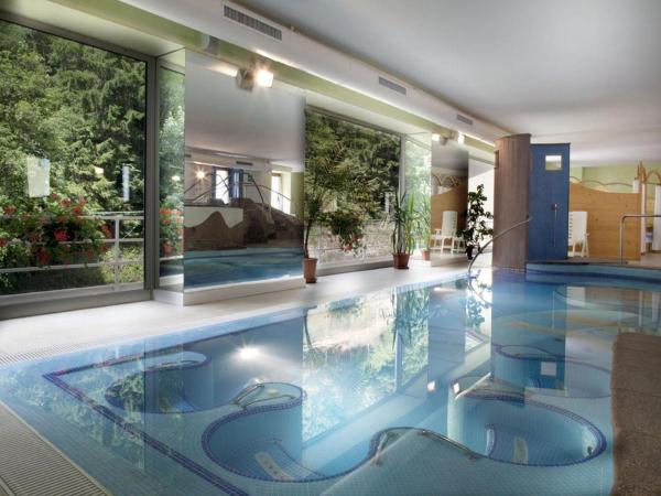 Hotel Terme Di Rabbi - Cogolo