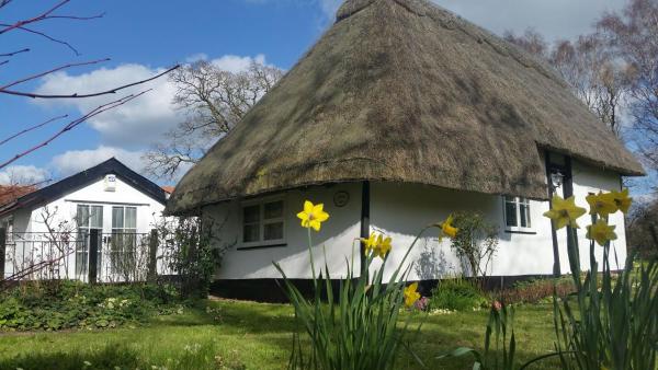 Frogs Hall B&b - Diss