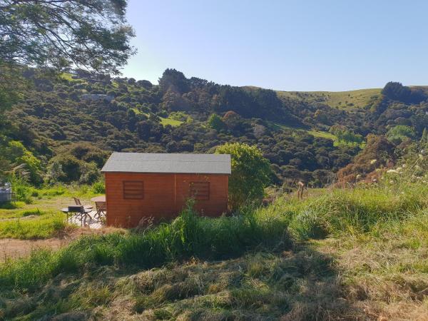 Wild Days Accommodation - Maraetai