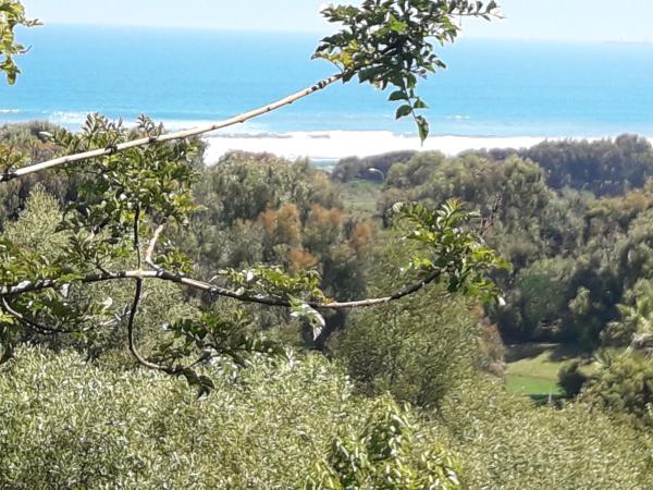 B&b Santo Domingo Chile English Spoken Gran Departamento Compartido Frente Al Mar Parque Tricao Bird Sanctuary 14kms 9miles Away Desayuno Estacionamiento Y Wifi Gratis Free Parking Wifi And Breakfast - San Antonio