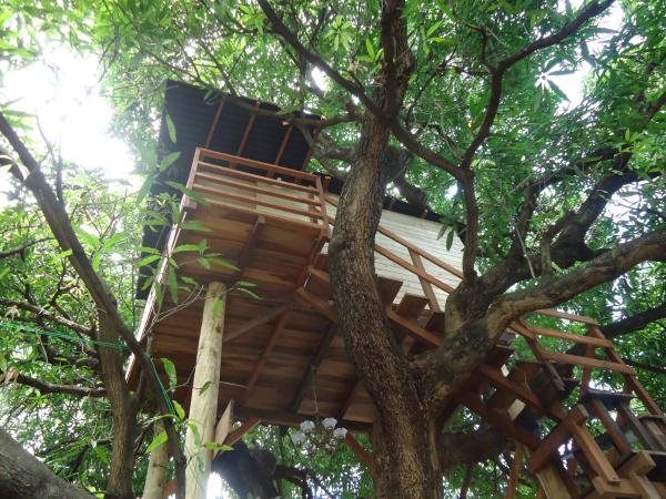 Casa Na ÁRvore - Rio Vermelho
