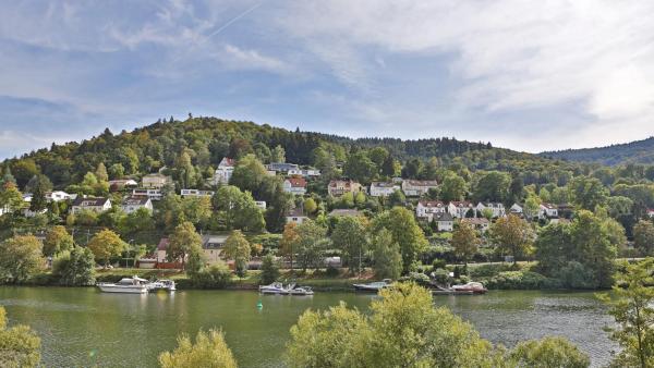Hotel Neckarlux - Hockenheim