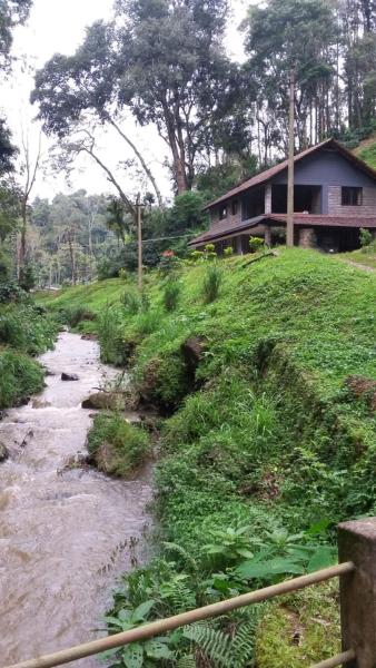 Kwality Estate - Kodagu