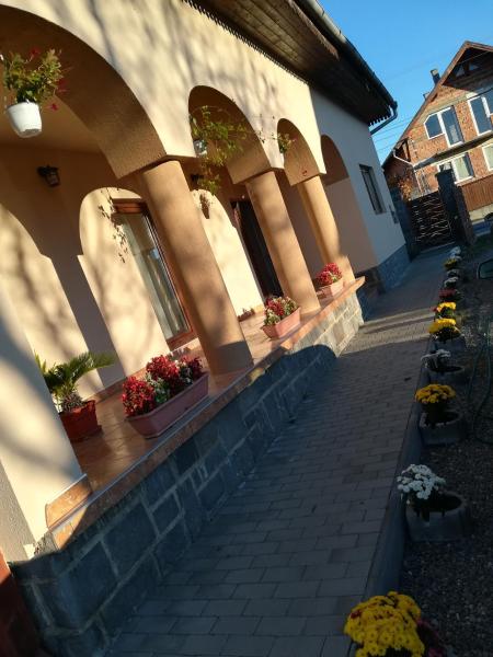 Nárcisz B&b - Transylvania