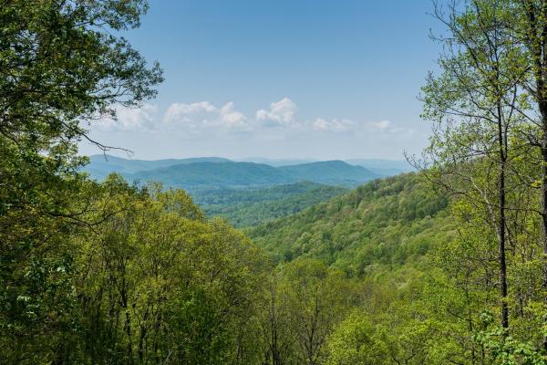 Asheville Sasha's Cabin - Swannanoa, NC