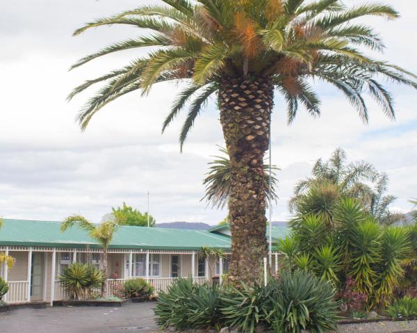 Palm Motel Waihi - Waihi