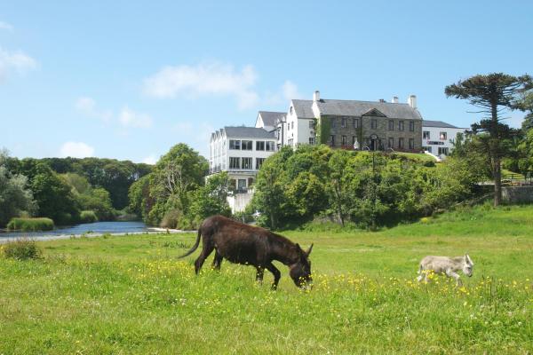 Falls Hotel & Spa - Lahinch