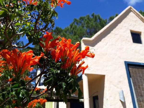 Chalets Del Bosque - Rocha Department