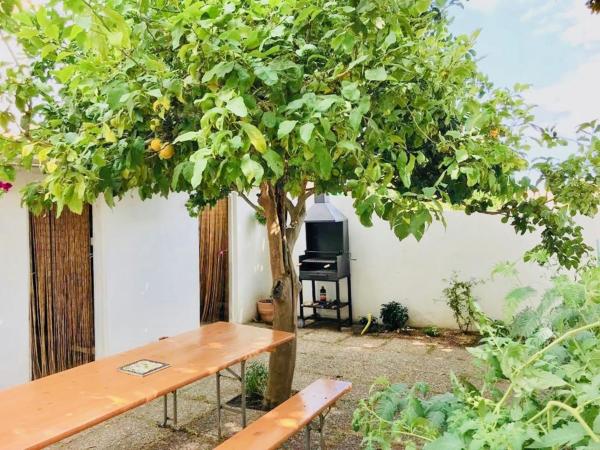 Xaloc Costabravasi - Sant Feliu de Guíxols