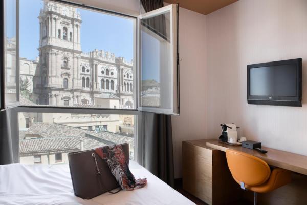 Petit Palace Plaza Málaga - Málaga