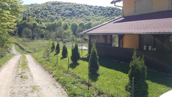 Casa Alina - Cârțișoara