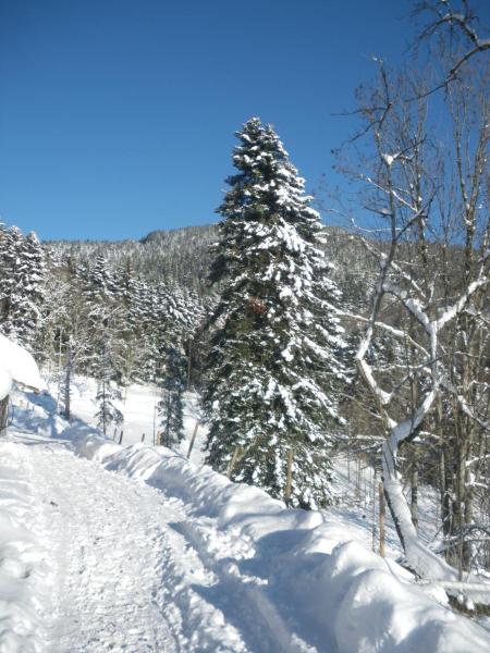 Gite Im-berg - Munster