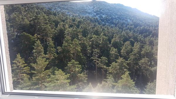 Estudio Romántico En Puerto De Navacerrada - Guadarrama