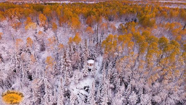 Les Racines Du P'tit Isidore - Rouyn-Noranda