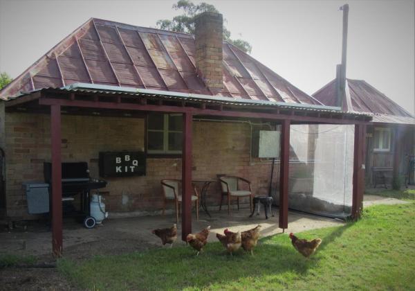 Fernbrook Cottage - Blue Mountains