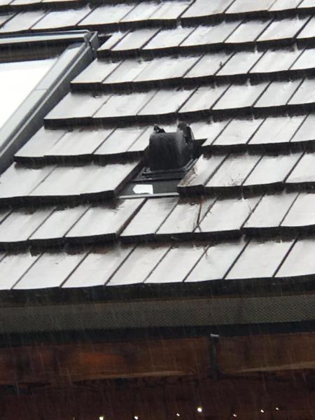 Lachtalchalet - Steiermark