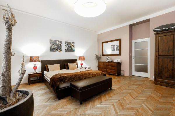 Luxury Apartment Dlouha - Praga