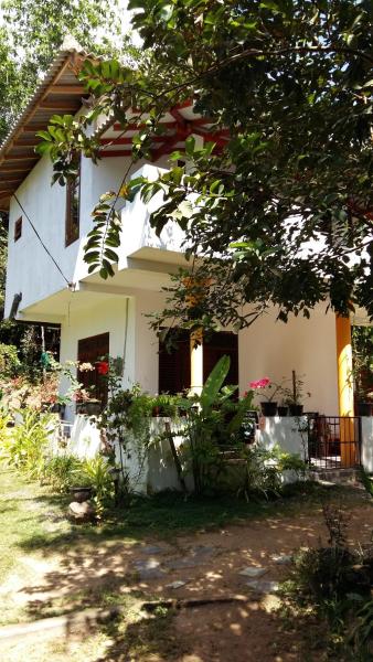 Happy Spring Guest - Mirissa