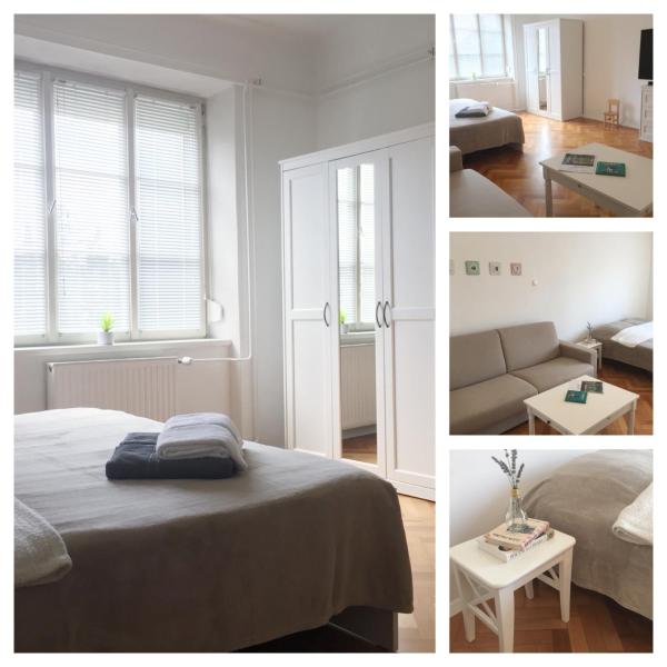 Historic Mexico Building Apartment - Ljubljana