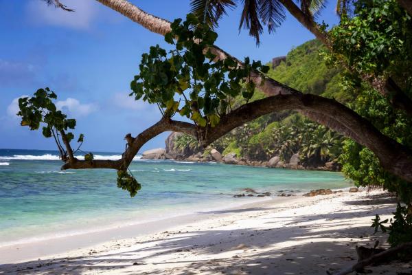Surfers Beach Self Catering Chalets - Mahé