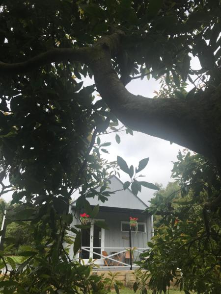 Paradise Grove - Whangamatā