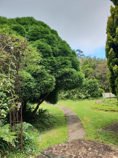 English Gardens - Forest Spa Suite - Beechmont