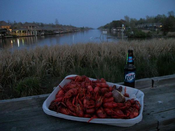 Cozy Cabin On The Bayou - Louisiane