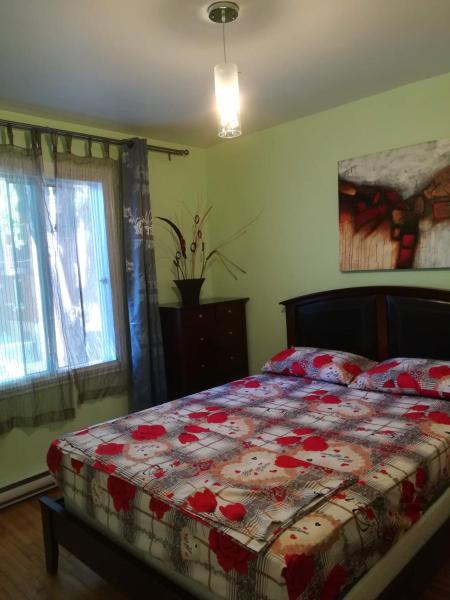 Montreal Authentic Appartment - Montreal