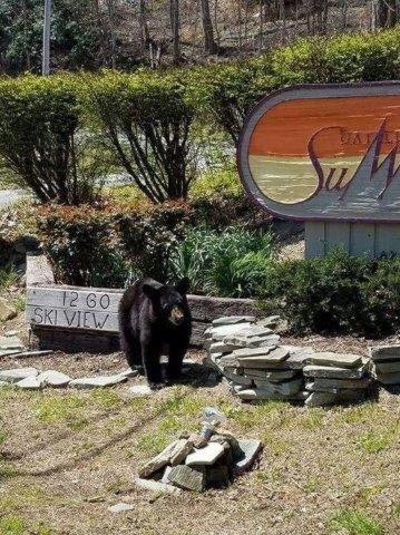 Gatlinburg Mountain Condo - Gatlinburg, TN