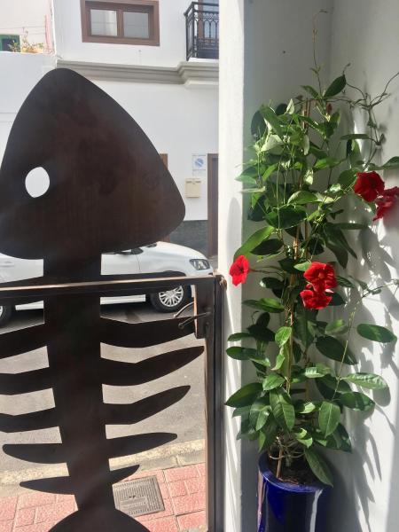 Estudio Del Pescado En El Charco - Lanzarote