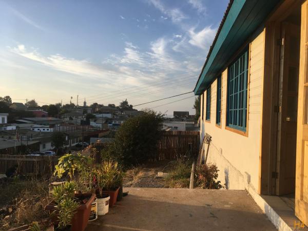 Vintage Surf Pichilemu - Pichilemu