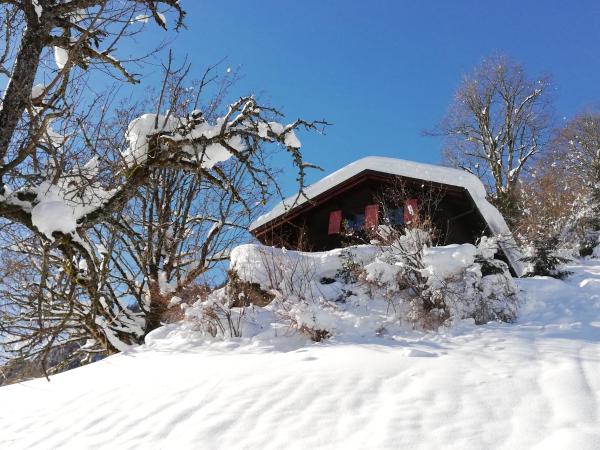 Ferienhaus Schnider - Montafon