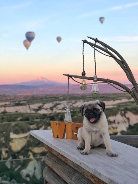 Wish Cappadocia - Uçhisar
