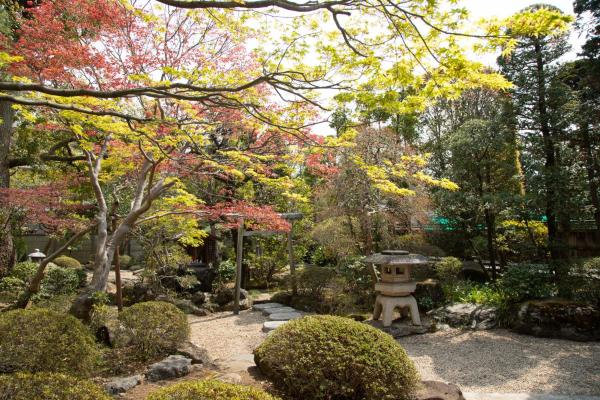丹徳庭園 - 川越市