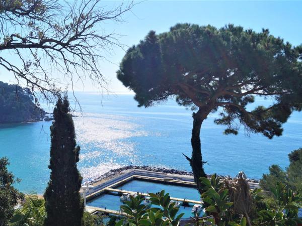 Papaya - Tossa de Mar
