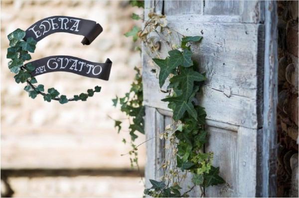 Edera Dei Guatto - Friuli-Venezia Giulia