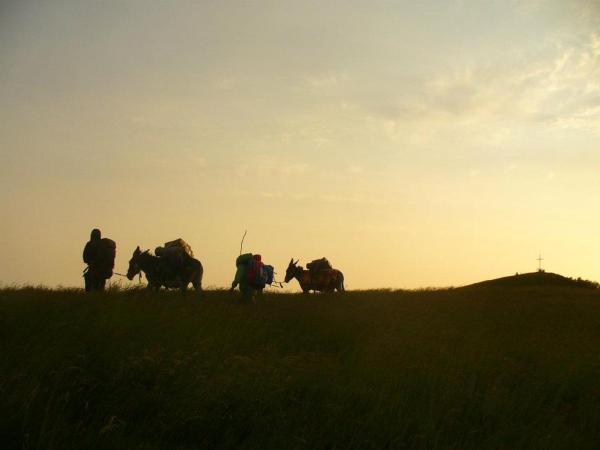 Ciuchi House - Piedmont