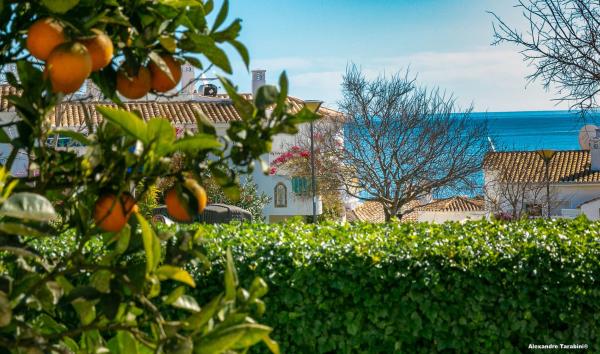 C12 - Sunshine Apartment In Luz - Algarve